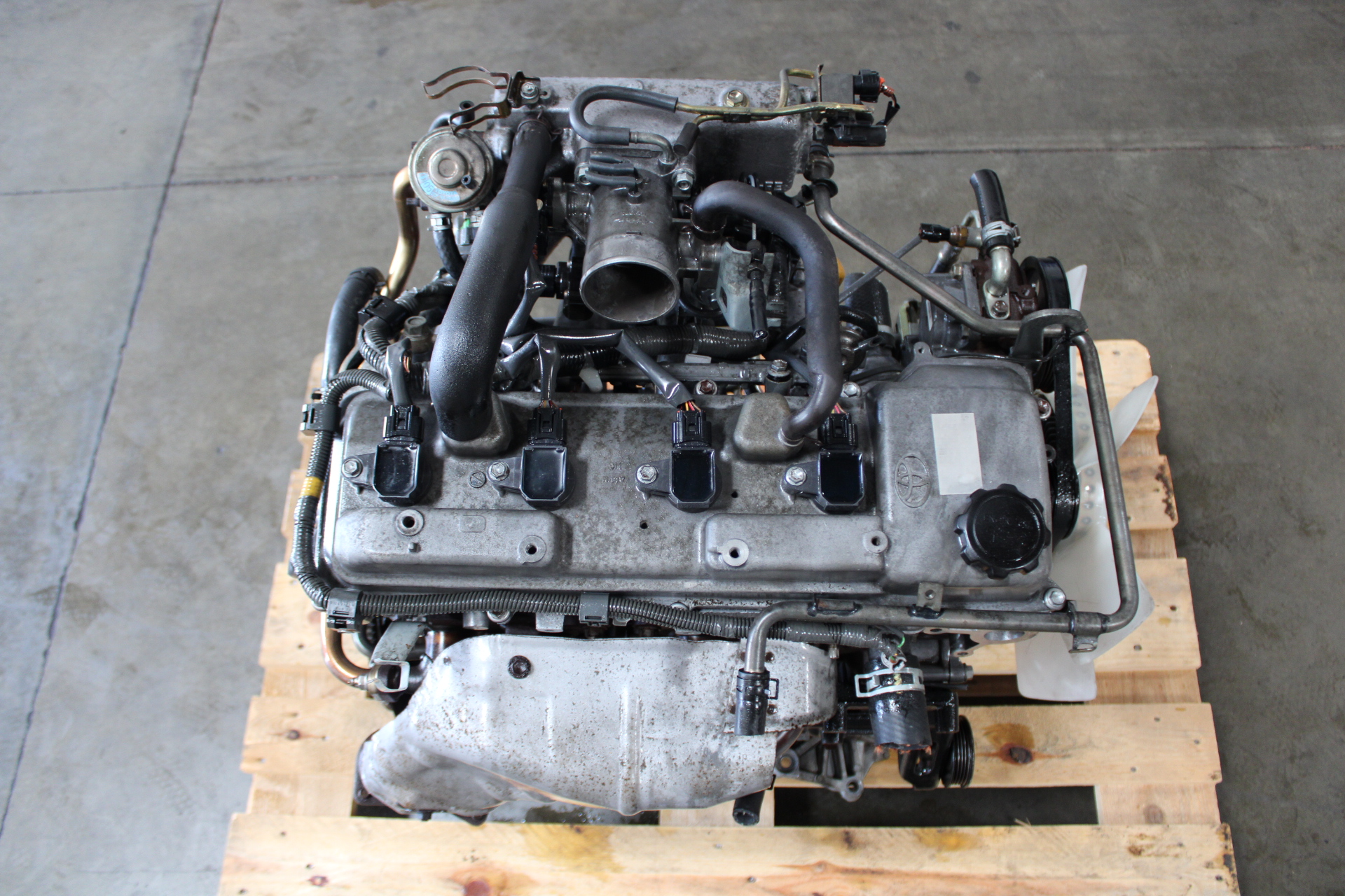 Toyota 4Runner 1996 1997 1998 1999 2000 3RZ-FE 2.7L Engines | SF JDM